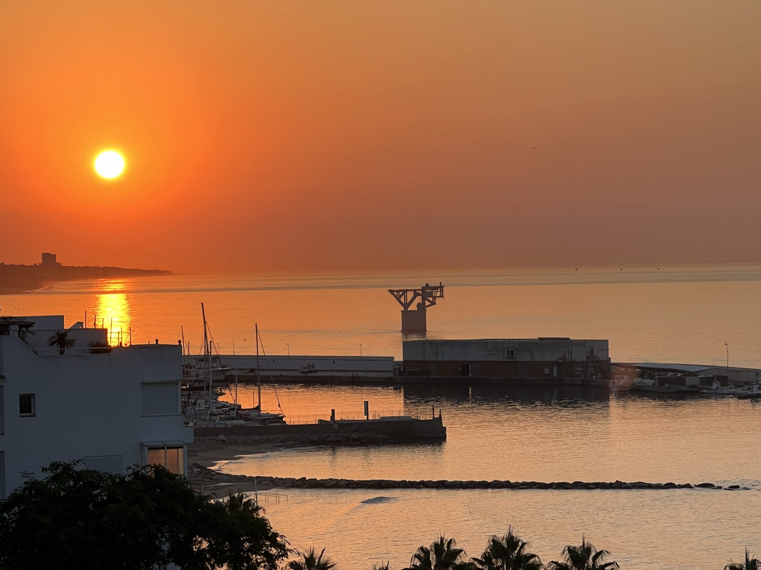 Best Rooftop Bars in Marbella | Where's The Rooftop?